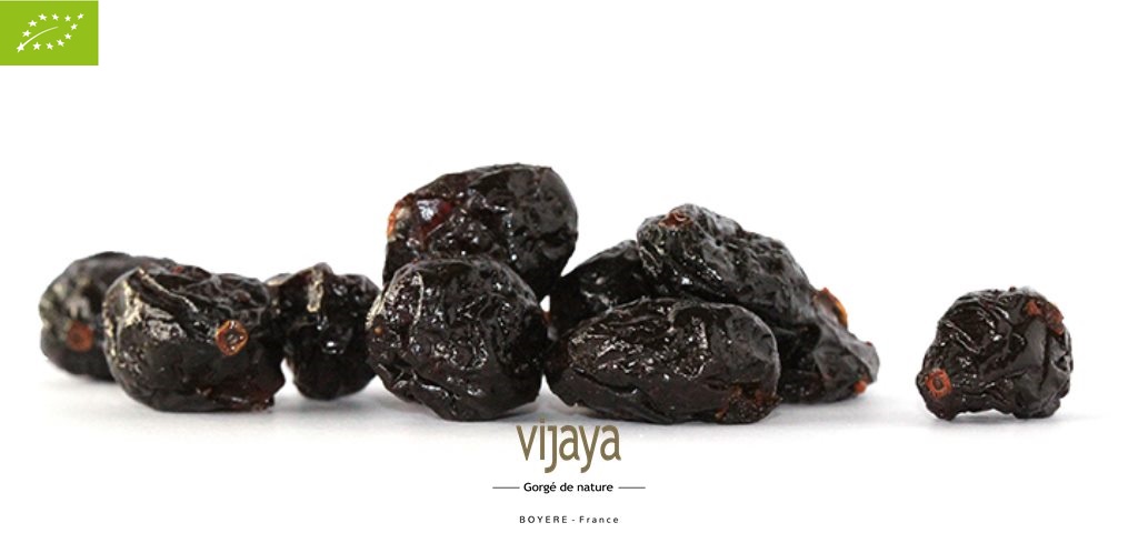 La Cranberry Séchée Bio - Fruits Secs Bio - Vijaya